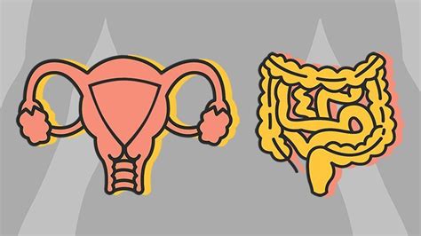 What Are The Signs And Symptoms Of Ovarian Cancer Christ Memorial