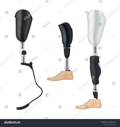 Prosthetic Legs Artificial Limb Support Movement Stock Vector Royalty