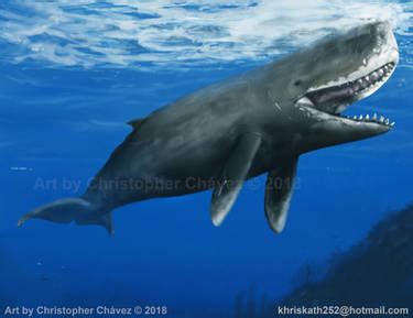 Explore The Best Livyatan Art Deviantart