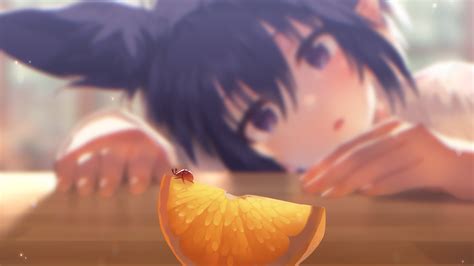 介绍教程 Windows系统下的bitlocker磁盘加密 知乎 介绍教程 Windows系统下的bitlocker磁盘加密 知乎