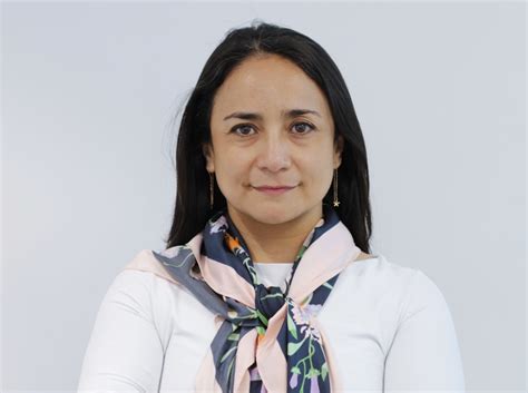 Regulación Ambiental En Chile Obstáculos Y Oportunidades De Mejora