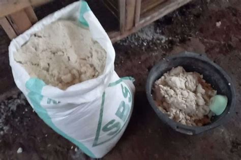 Kelebihan Dan Kekurangan Ampas Tahu Versus Beda