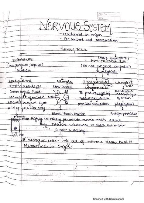 Biology Nervous System Complete Handwritten Notes Docsity