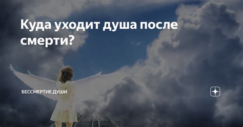 Куда уходит душа после смерти Бессмертие души Дзен