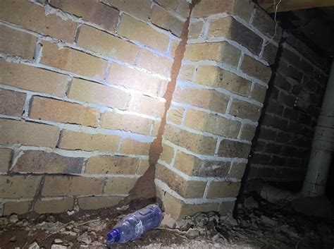 An Unwelcome Visitor 5 Signs That You May Have Termites And What To