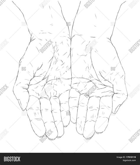 Cupped Hands Vector And Photo Free Trial Bigstock