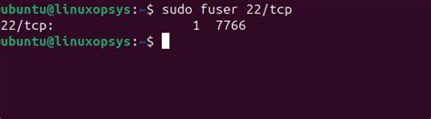 Fuser Command In Linux Explained With Examples