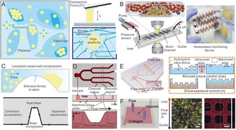 Design Principles Of Microfluidic Devices For Coagulation Research A