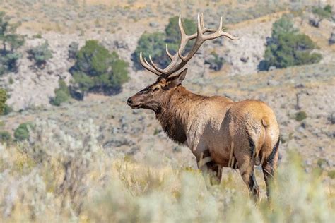 Wildlife Preserve In New Mexico At Shannon Mcelroy Blog
