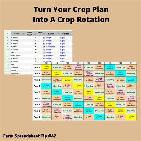 End Crop Rotation With Efficient Spreadsheet Tips Dan Brisebois