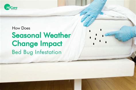 Bed Bug Infestation Know How Weather Change Can Impact Pest Infestation