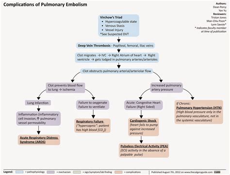 Adult Emergency Medicine Pulmonary Embolism