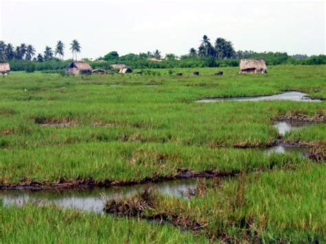 Benin Wikitravel