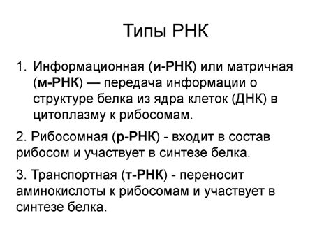 Нуклеиновые кислоты. Биология. 10 класс. Профильный уровень ...
