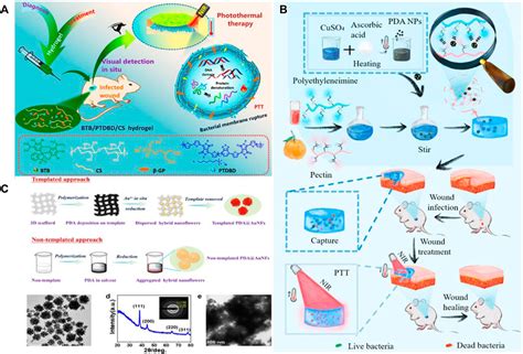 Frontiers Photothermal Nanohybrid Hydrogels For Biomedical Applications