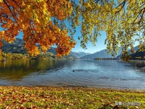 每年10月10日是什么节日 关于十月十的谚语 工作号