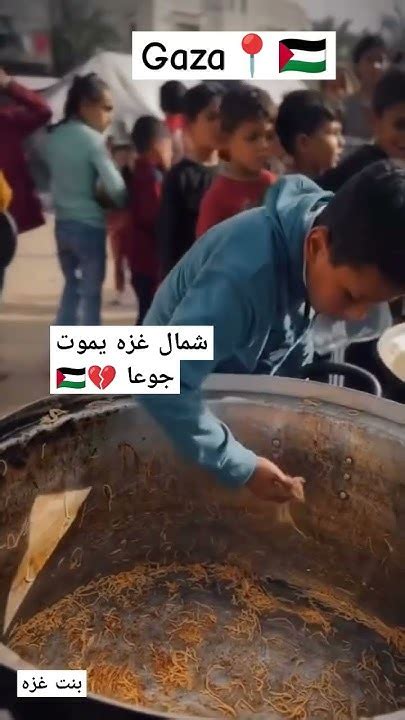 شمال غزه يموت جوعا 💔🇵🇸 غزه Gaza شمالغزهيموتجوعا Youtube