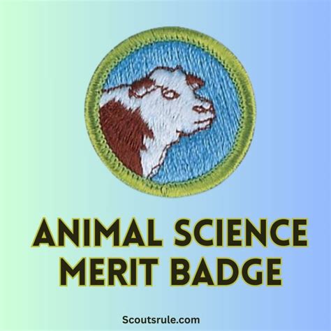 Engineering Merit Badge Guide Scouts Rule