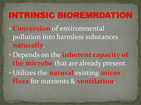 Types Of Bioremediation Pptx