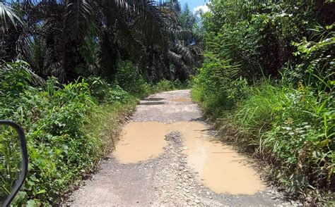 Jalan Penghubung Desa Cinto Mandi Rusak Kolom Desa