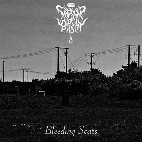 Bleeding Scars By Shroud Of Blight Single Reviews Ratings Credits