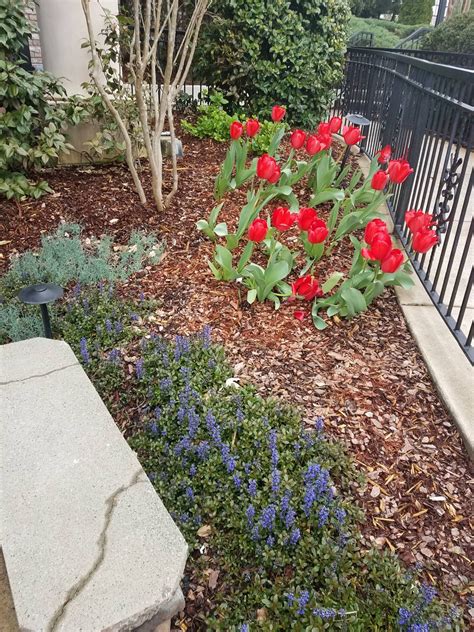 Gallery Southwest Lawn Scapes