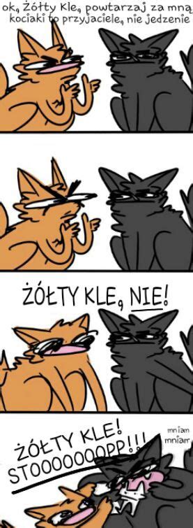 Memy z Wojaków Warrior cats funny Warrior cats comics Warrior cats