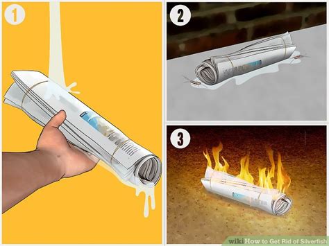 How To Get Rid Of Silverfish 14 Steps With Pictures Wikihow