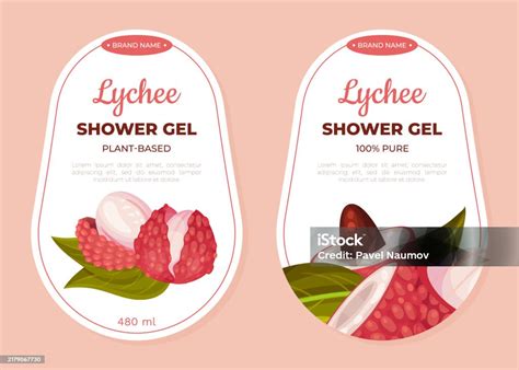Lychee 열대 과일 샤워 젤 라벨 디자인 원시 육즙이 많은 베리 벡터 템플릿 0명에 대한 스톡 벡터 아트 및 기타 이미지 0명 건강한 생활방식 과육 Istock
