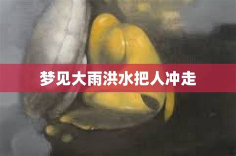 梦见大雨洪水把人冲走 命理解梦