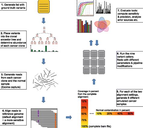 Workflow Of The Comparison Of The Nine Variant Callers A Heterogeneous Download Scientific