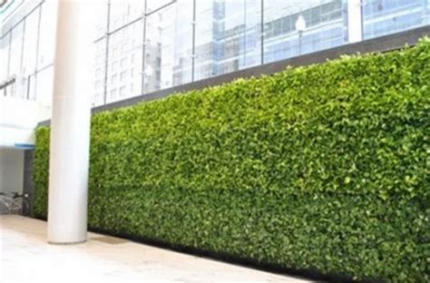 Green Artificial Vertical Grass Wall At Best Price In Pune Id