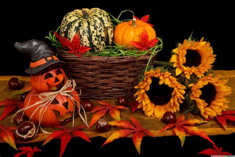 Halloween Decorations 2016 4k Uhd Wallpaper For Ultrahd Desktop And Tv