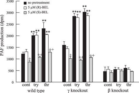 Platelet Activating Factor Paf Production In Wt Ipla2 Ko And Download Scientific Diagram