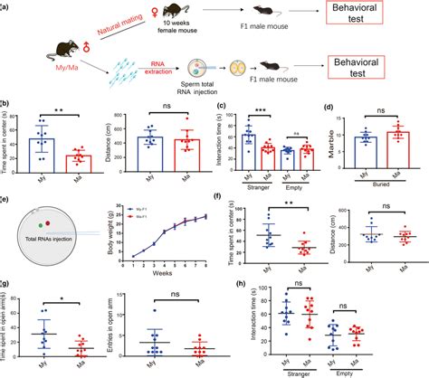 Behavioral Traits In F1 Mice Arising From Natural Mating Or From Download Scientific Diagram