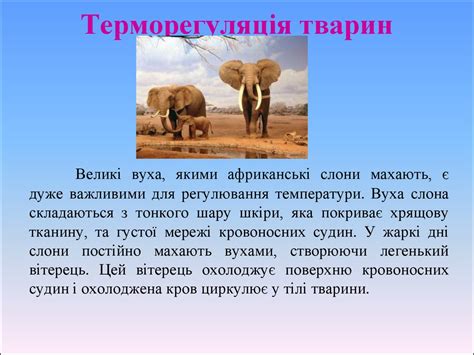 Розвиток мислення молодших школярів Online Presentation