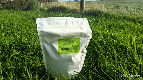 Gardeners Dream Hard Wearing Lawn Grass Seed Tested