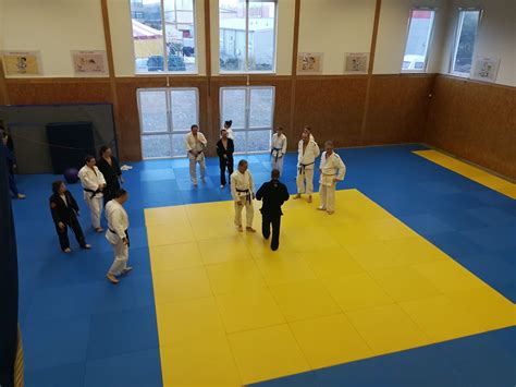 Ju Jutsu Lehrgänge im Dojo Chris in seinem Element 1 Mannheimer