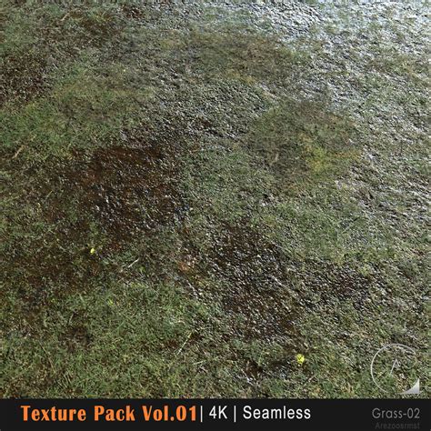 Grass Texture Pack Vol1 Texture Cgtrader