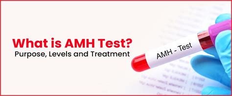 What Is Amh Test Purpose Levels And Treatment