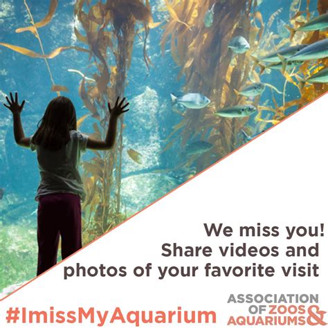 Birch Aquarium At Scripps Home Facebook
