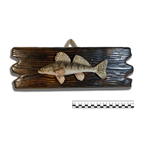 Настенная статуэтка судака исп 6 Регалино