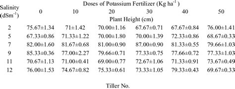 Effects Of Salinity And Potassium Fertilizer Application On Yield Download Scientific Diagram
