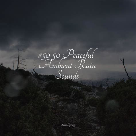 50 50 Peaceful Ambient Rain Sounds Album By Meditacou Musica