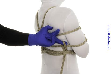 Wrap The Tail Around The Chest Strap Once So That It Is Close To