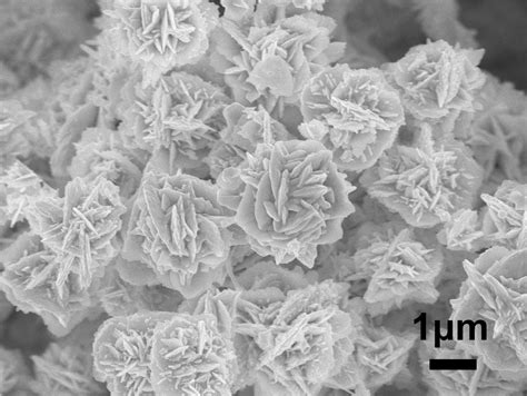A Kind Of Preparation Method Of Gold Nanoflowers In Ionic Liquid Aqueous Solution Eureka Patsnap