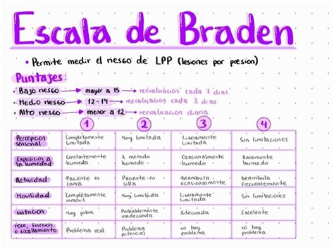 Escala De Braden Riesgo De UPP O LPP Apunte De Enfermeria