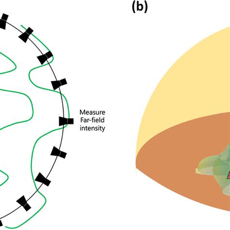 Schematic Diagram Of The Architecture Of Our Autoencoder Neural