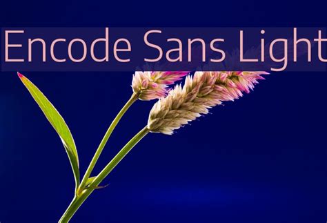 Encode Sans Light Font FFonts Net Encode Sans Light Font FFonts Net