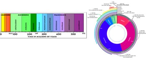 Evolution Natural Selection And Microevolution Speciation And Macroevolution Flashcards Quizlet